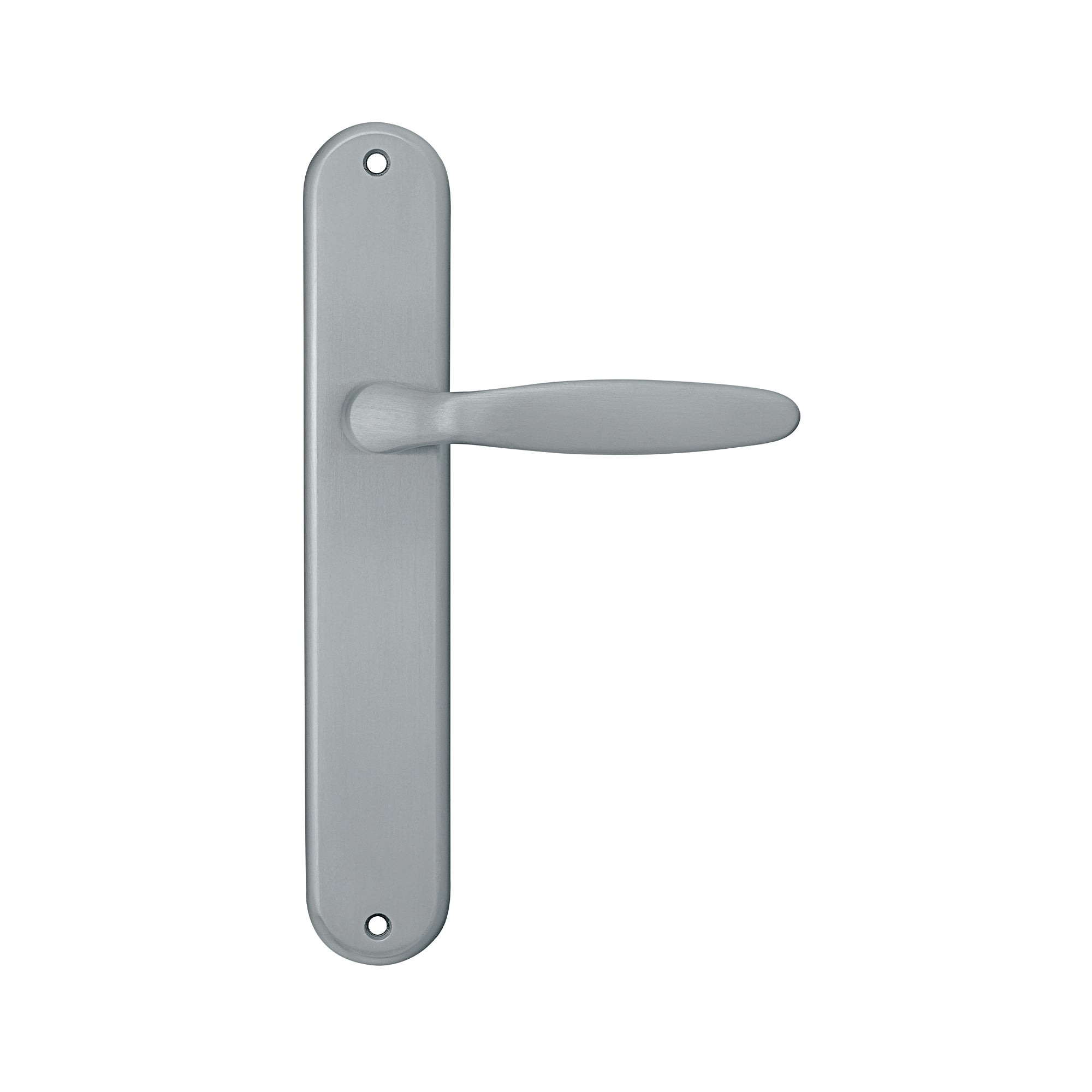 Derby door handle – manital-handles